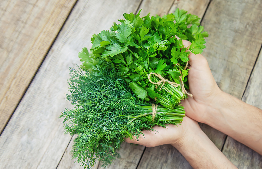 5 delicious herbs that add flavor to healthy summer meals - Flourish