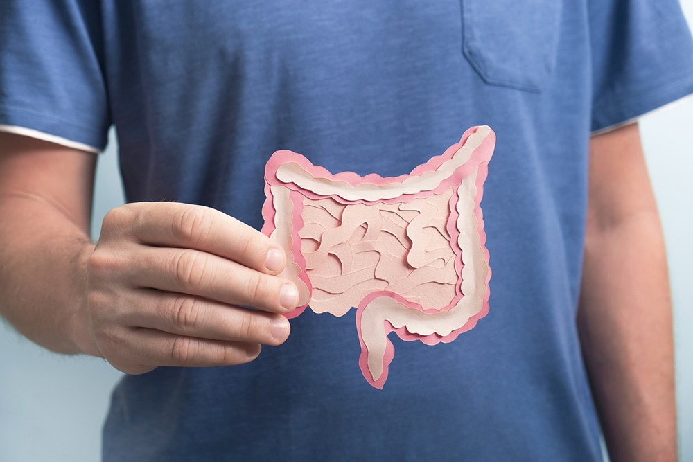 What is the gut microbiome? - Flourish