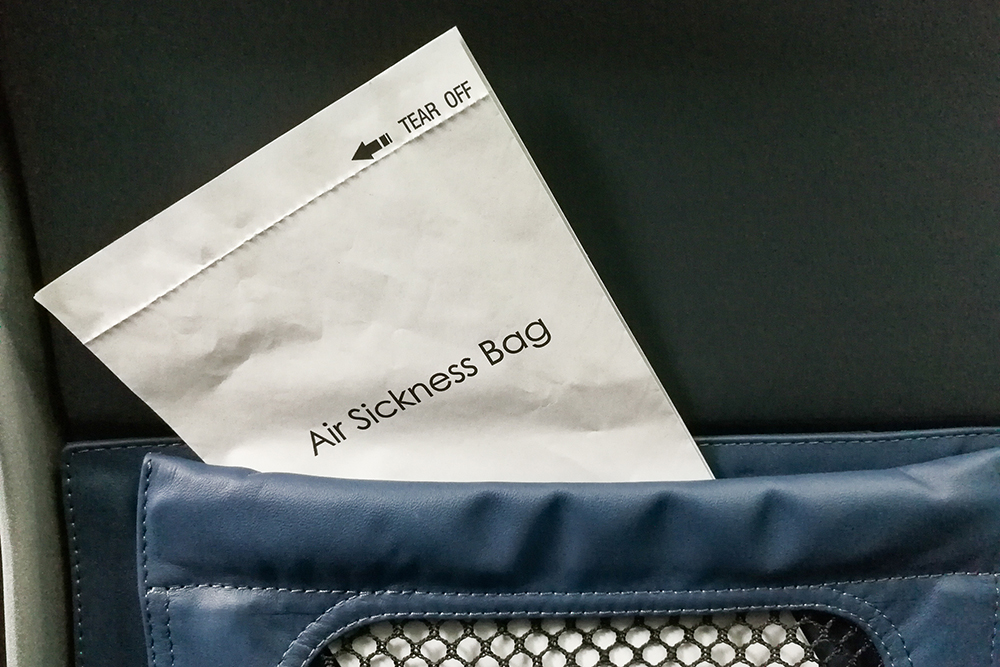 How to prevent motion sickness in planes, trains and automobiles - Flourish